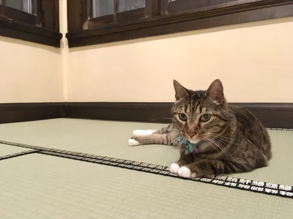 The tatami has made the room such a nice space for our family ...